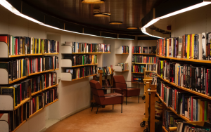 Exploring the Possibilities of AI in Literary Analysis - On-Page